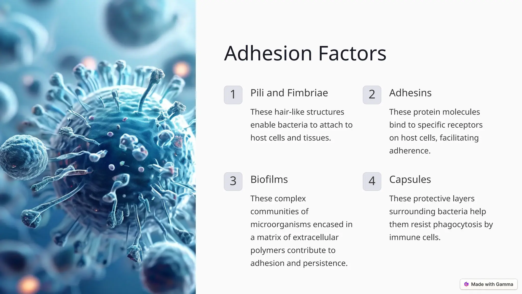 Microbial-Virulence -Factors.pptx