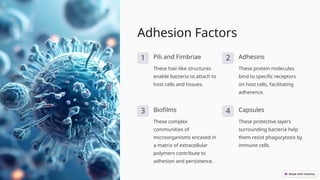 Microbial-Virulence -Factors.pptx
