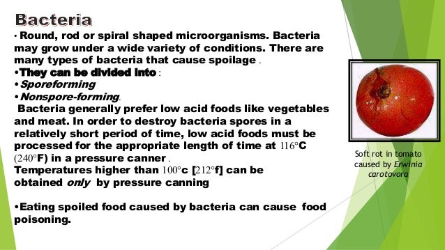 Microbial Agents Involve In Food Contamination And Food Spoilage