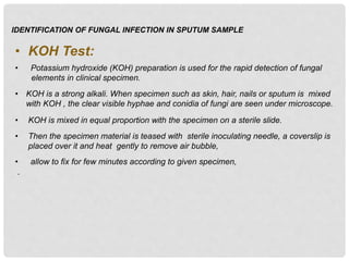 microbial analysis.pptx