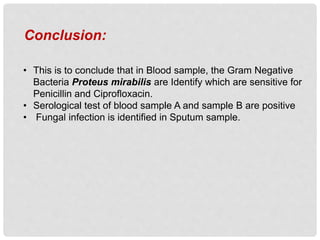 microbial analysis.pptx