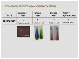 microbial analysis.pptx