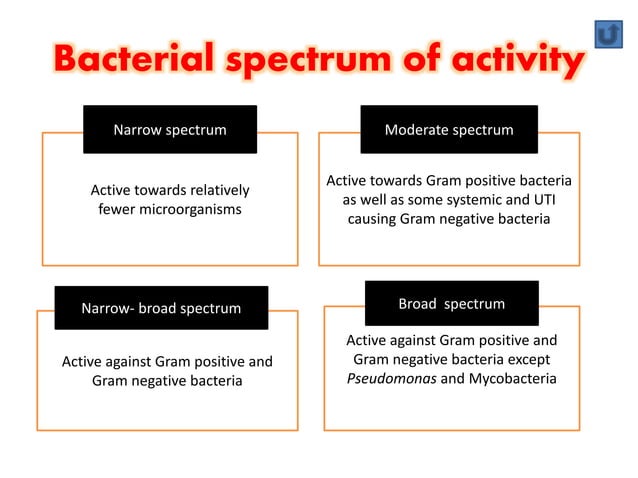 Microbial antibiotics | PPT
