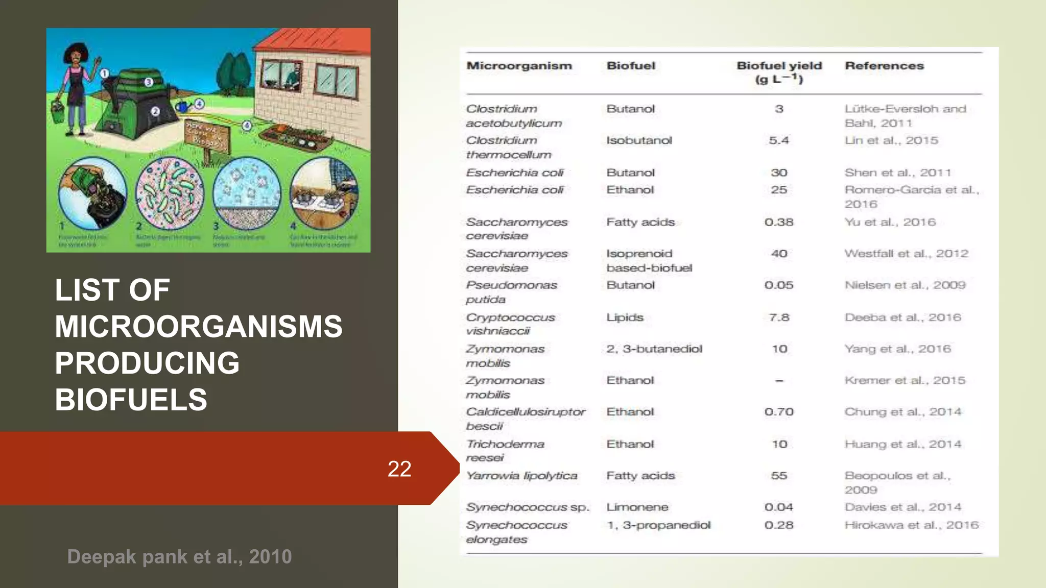 Microbial application for biofuel production | PPTX