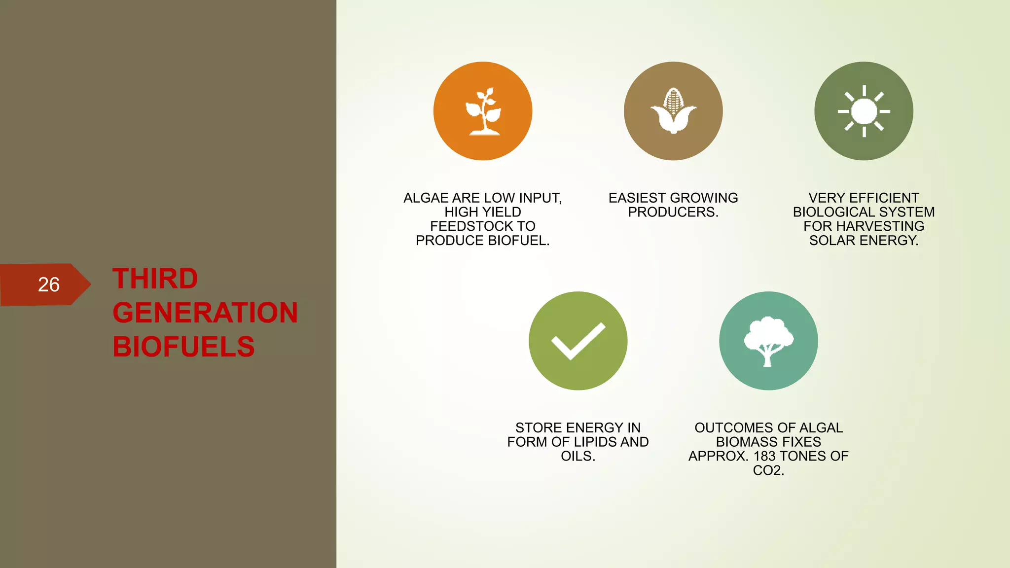 Microbial application for biofuel production | PPTX