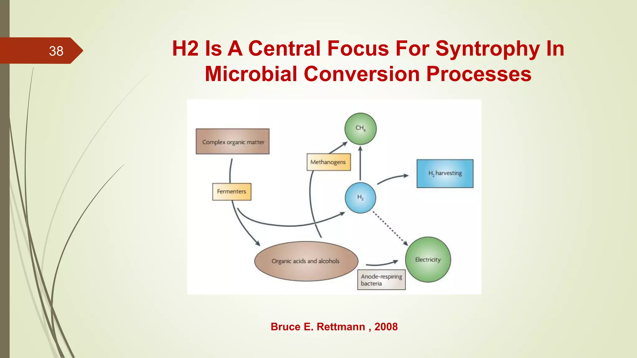 Microbial application for biofuel production | PPTX