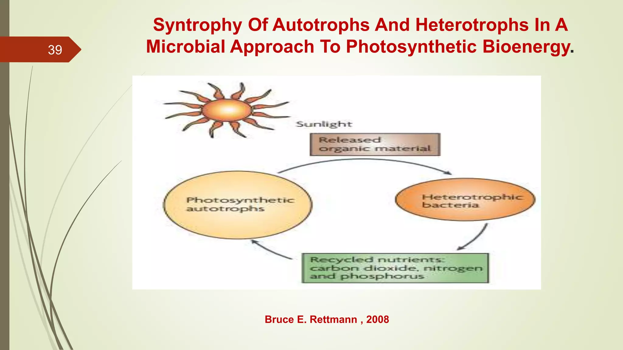 Microbial application for biofuel production | PPTX