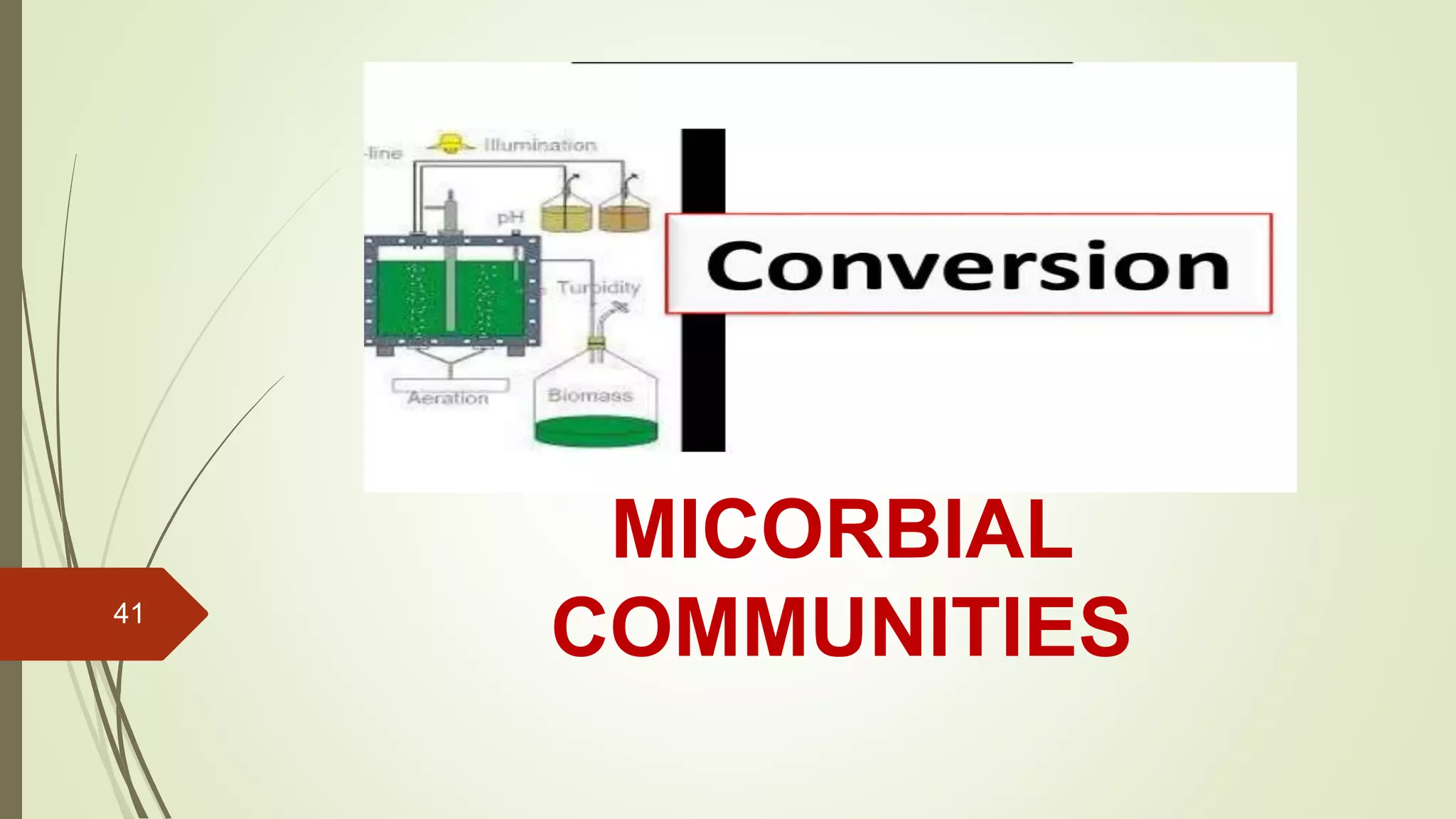 Microbial application for biofuel production | PPTX