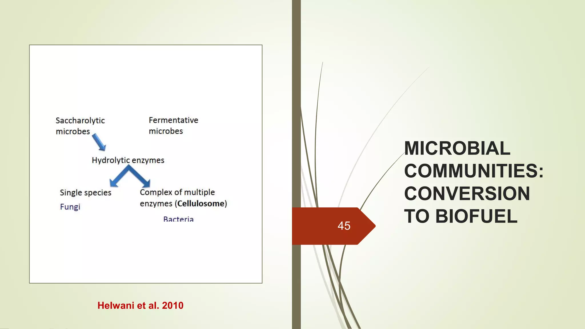 Microbial application for biofuel production | PPTX