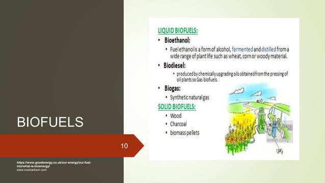 Microbial application for biofuel production | PPTX