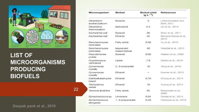 Microbial application for biofuel production | PPTX
