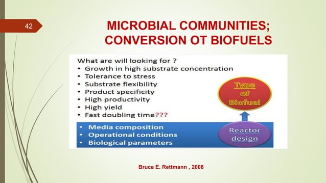 Microbial application for biofuel production | PPTX