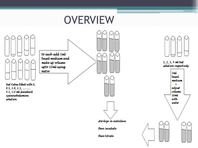 Microbial assay of B2 and B12 | PPSX | Blood Disorders | Diseases and ...
