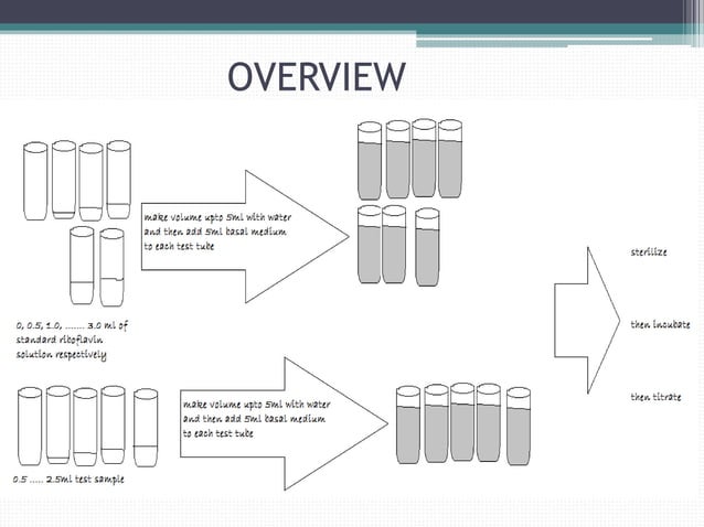 Microbial assay of B2 and B12 | PPSX | Blood Disorders | Diseases and ...
