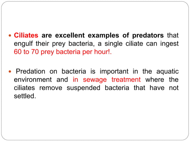 Microbial Associations Or Microbial Interactions Pptx
