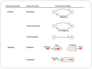 Microbial associations or microbial interactions | PPTX