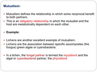 Microbial associations or microbial interactions | PPTX