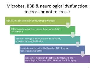 Microbial BBB Astroglia Neuron | PPTX