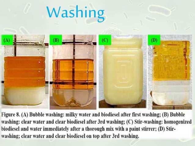 Microbial biodiesel production | PPTX