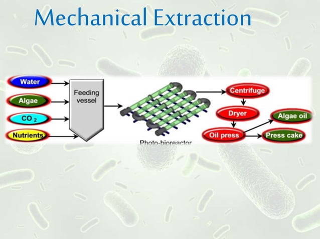Microbial biodiesel production | PPTX