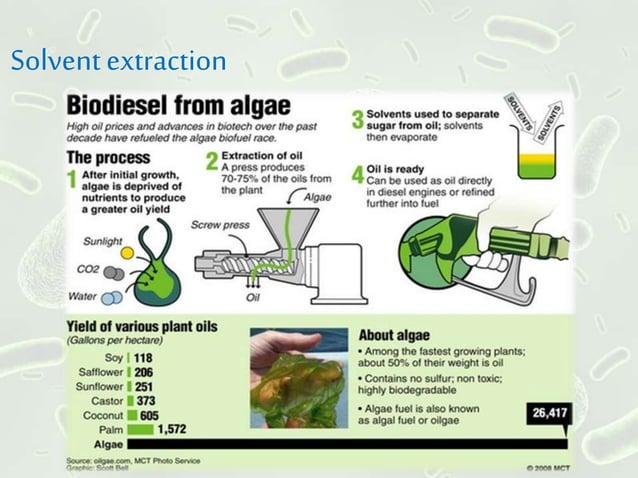 Microbial biodiesel production | PPTX