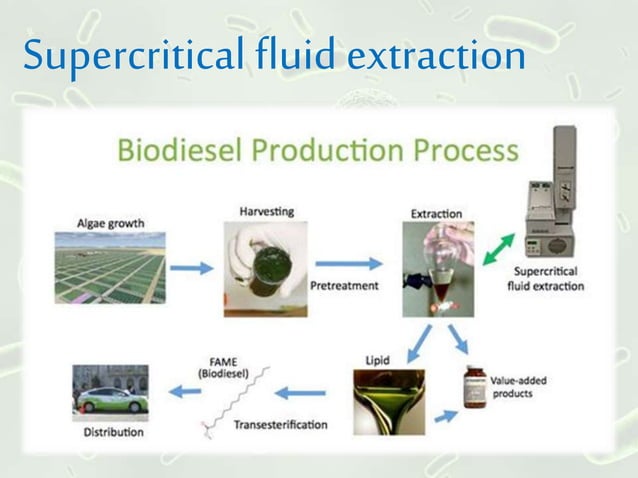 Microbial biodiesel production | PPTX