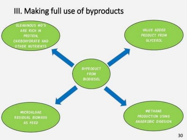 Microbial biodiesel production | PPTX