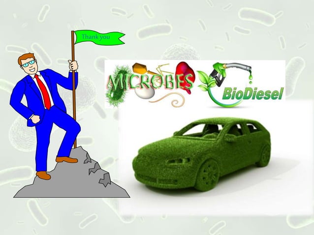 Microbial biodiesel production | PPTX