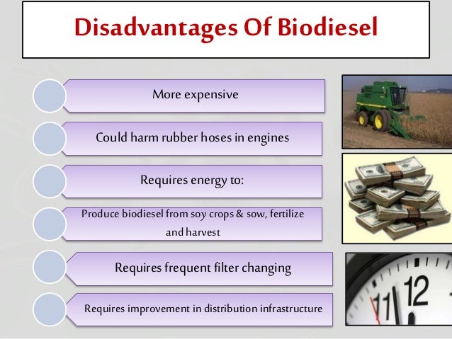 Microbial biodiesel production