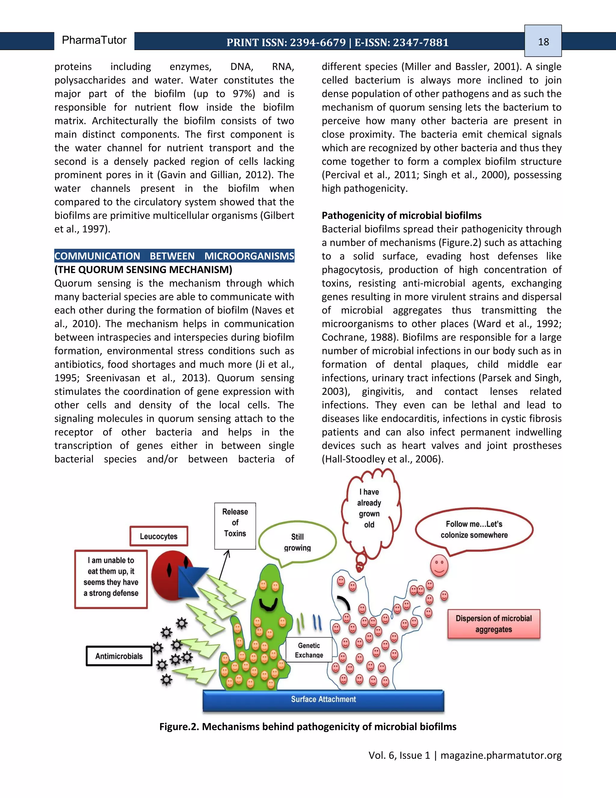 Microbial biofilms pathogenicity and treatment strategies | PDF