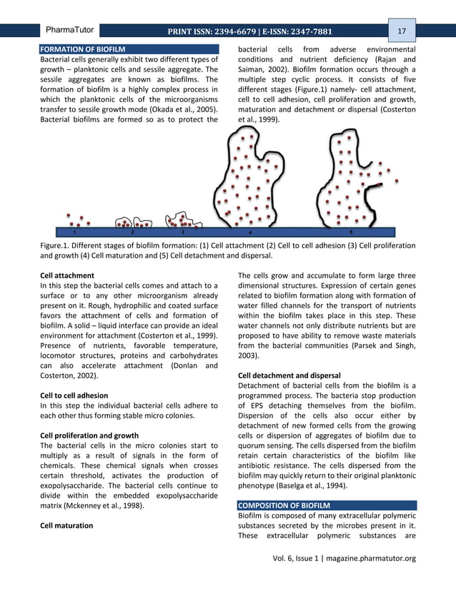 Microbial biofilms pathogenicity and treatment strategies | PDF