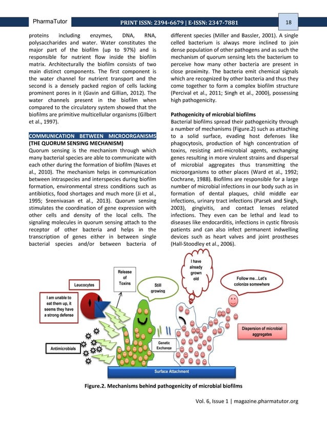 Microbial biofilms pathogenicity and treatment strategies | PDF