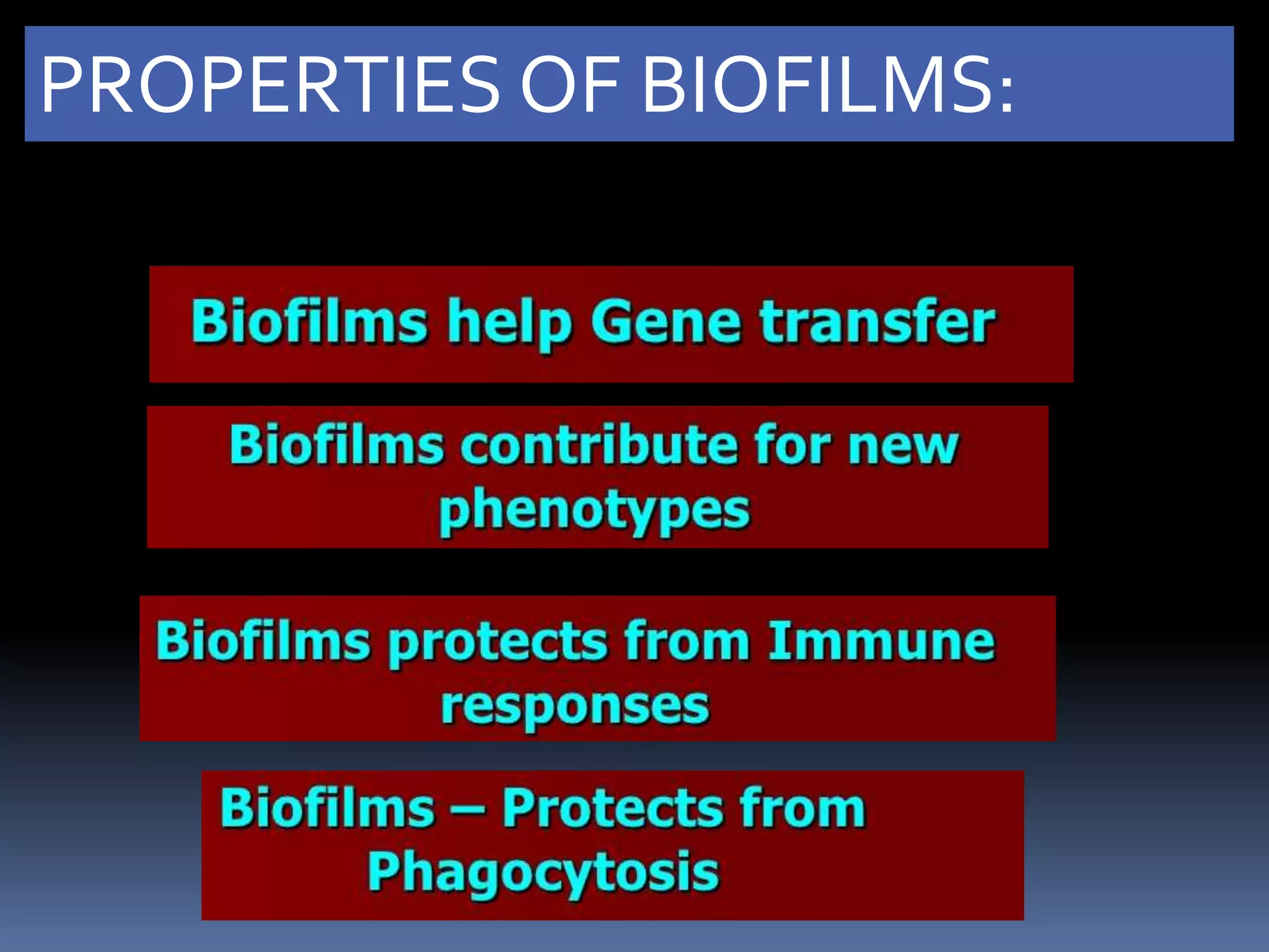 Microbial biofilms formation | PPTX