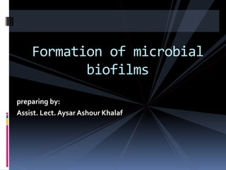 Microbial biofilms formation | PPTX