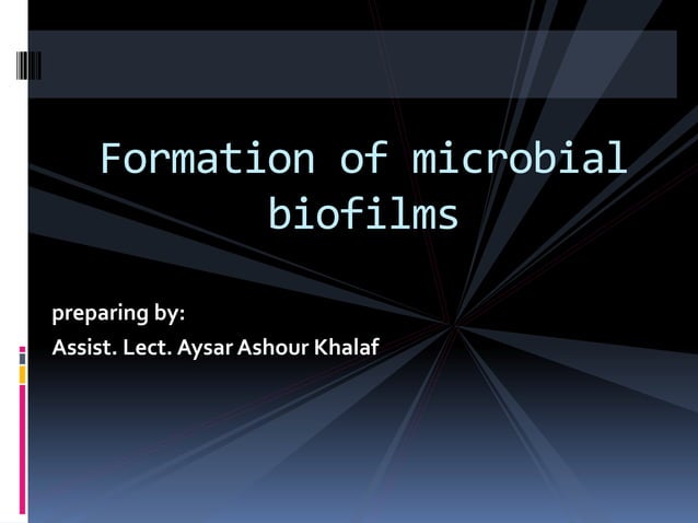 Microbial biofilms formation | PPT