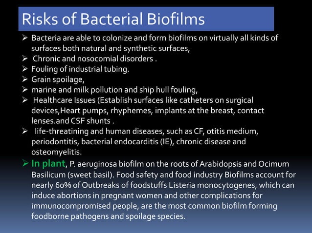 Microbial biofilms formation | PPT