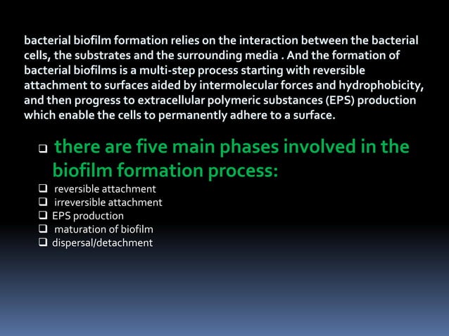 Microbial biofilms formation | PPT