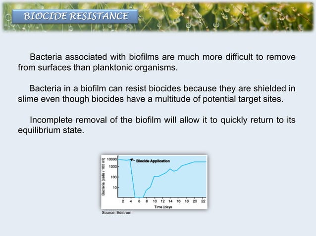 Microbial biofilms pilar valverde | PPTX