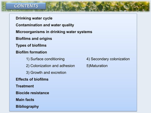 Microbial biofilms pilar valverde | PPTX