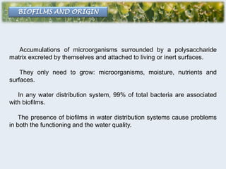 Microbial biofilms pilar valverde | PPTX