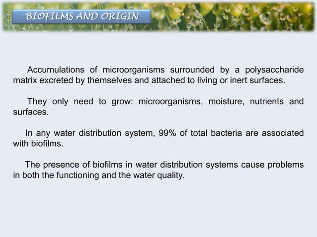 Microbial biofilms pilar valverde | PPTX