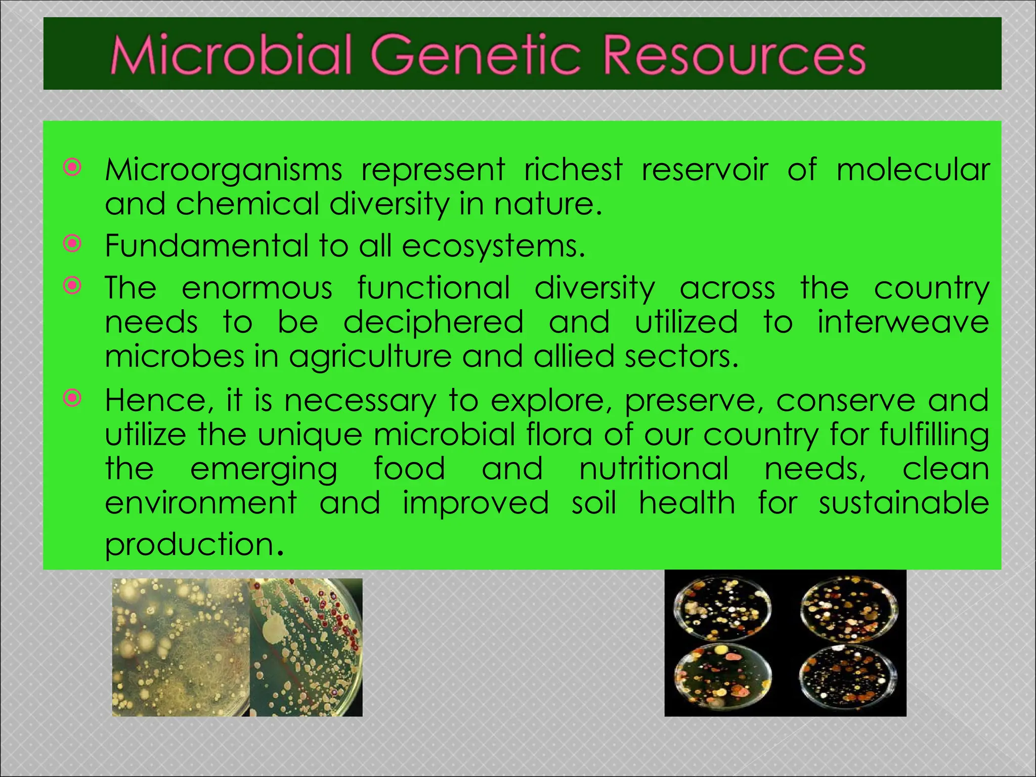Microbial bioprospecting technologies.ppt