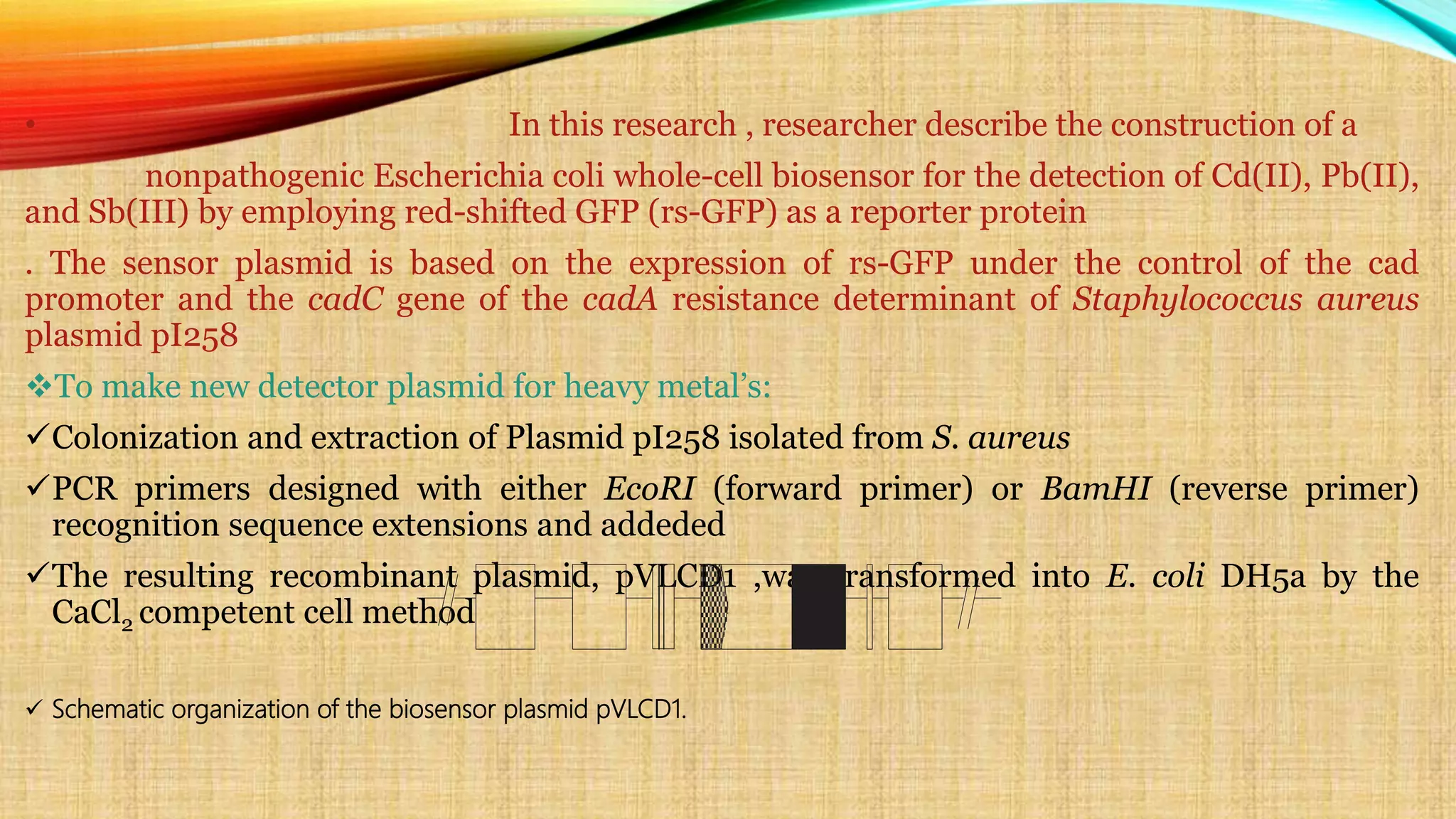 Microbial biosensors structure and mechanism | PPTX