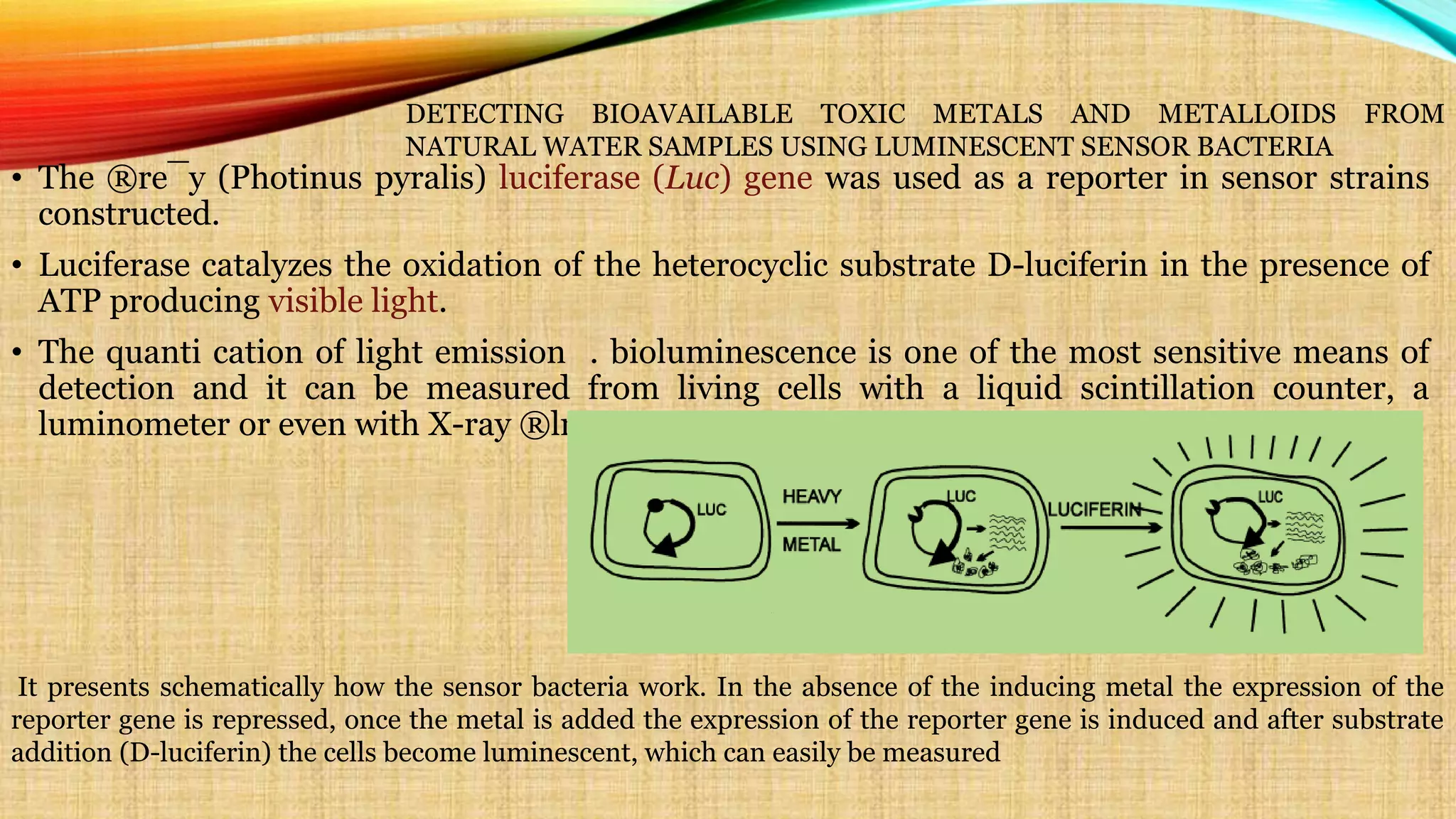 Microbial biosensors structure and mechanism | PPTX