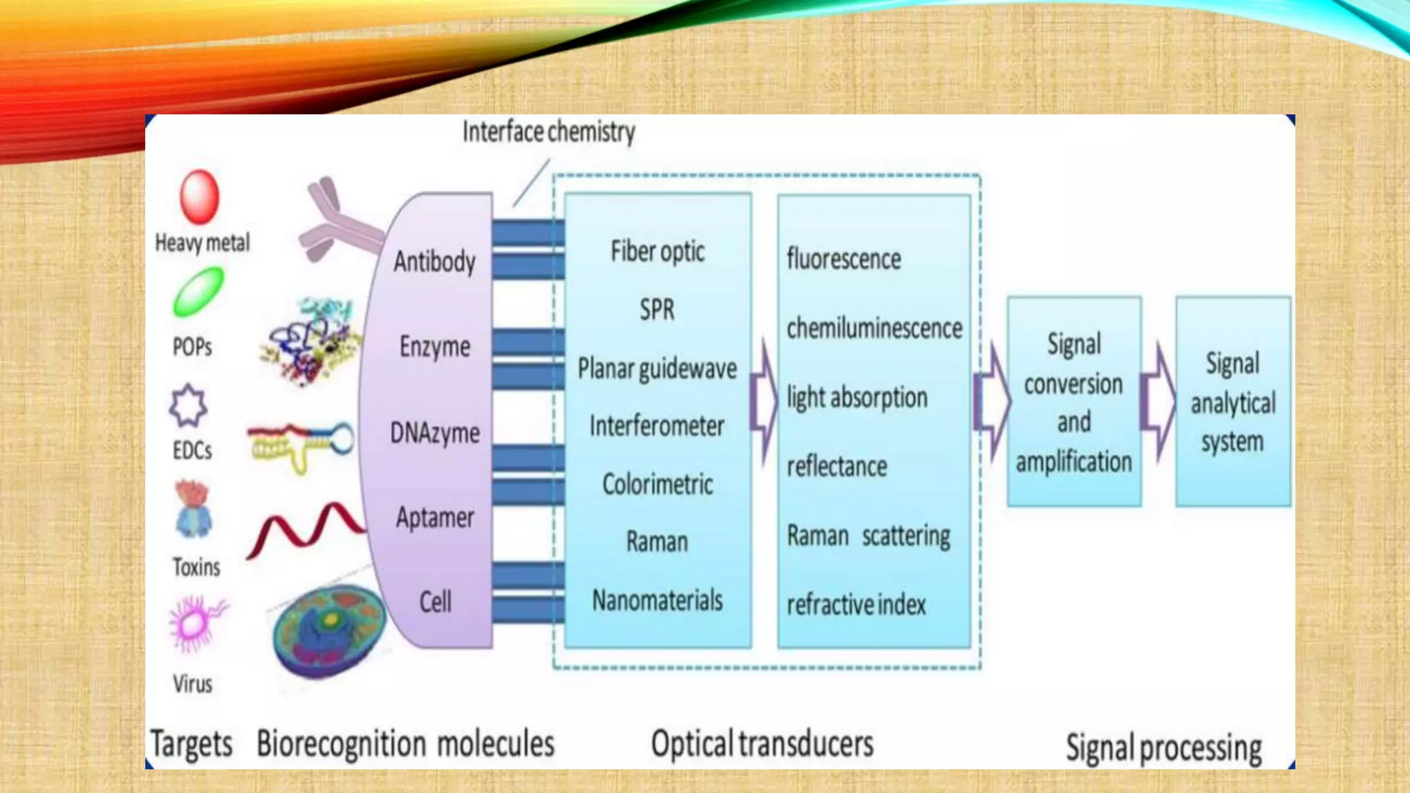 Microbial biosensors structure and mechanism | PPTX