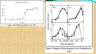 Microbial biosensors structure and mechanism | PPTX
