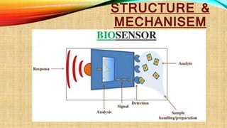 Microbial biosensors structure and mechanism | PPTX