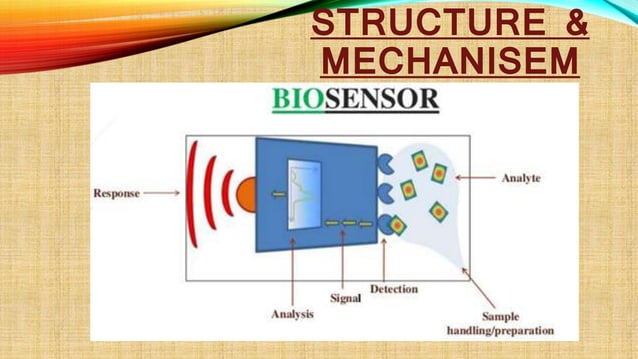 Microbial biosensors structure and mechanism | PPTX | Chemistry | Science