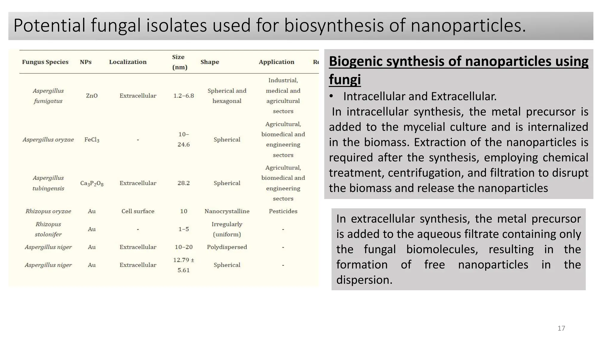 Microbial bio Synthesis of nanoparticles.pptx