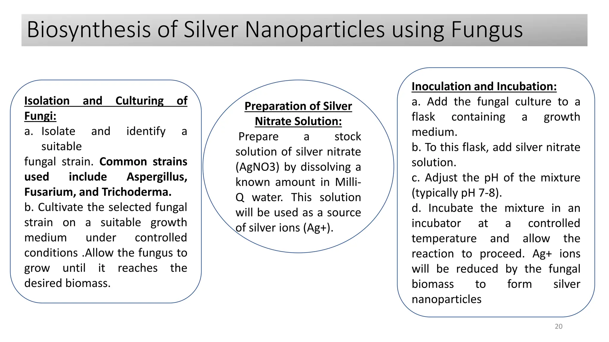 Microbial bio Synthesis of nanoparticles.pptx